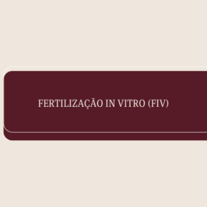 Fertilização In Vitro (FIV) - Bruna Silva | Advogada em Jundiaí